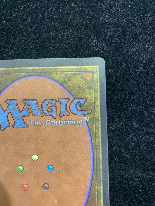 英語 アラビアンナイト Library of MTG Alexandria - nimfomane.com